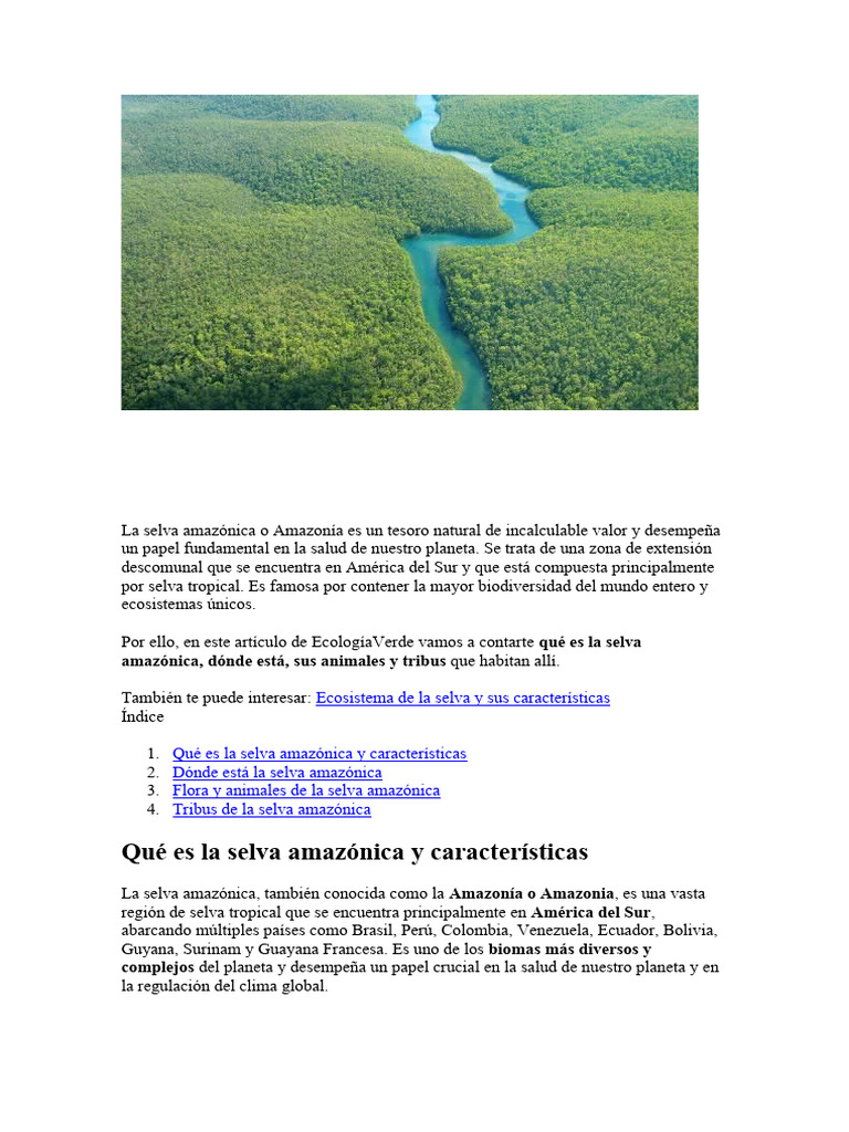 La Selva Amazónica o Amazonía Es Un Tesoro Natural de Incalculable ...