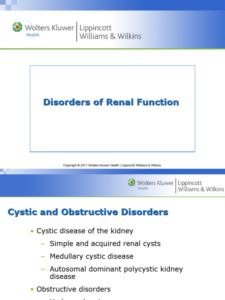 Disorder of Renal Function | PDF | Kidney | Medical Specialties