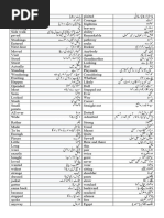Fail mafool and fail work sheet Urdu | PDF