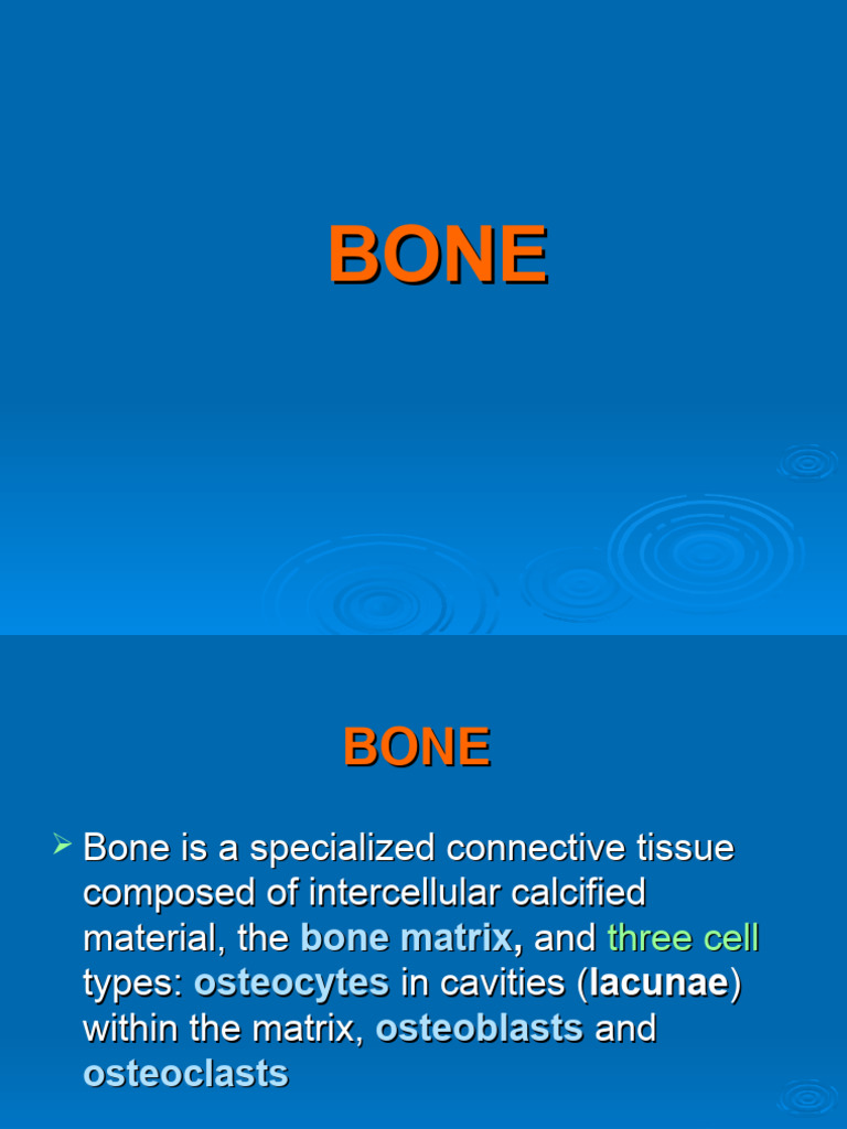 Bone histology | PDF | Bone | Osteoblast