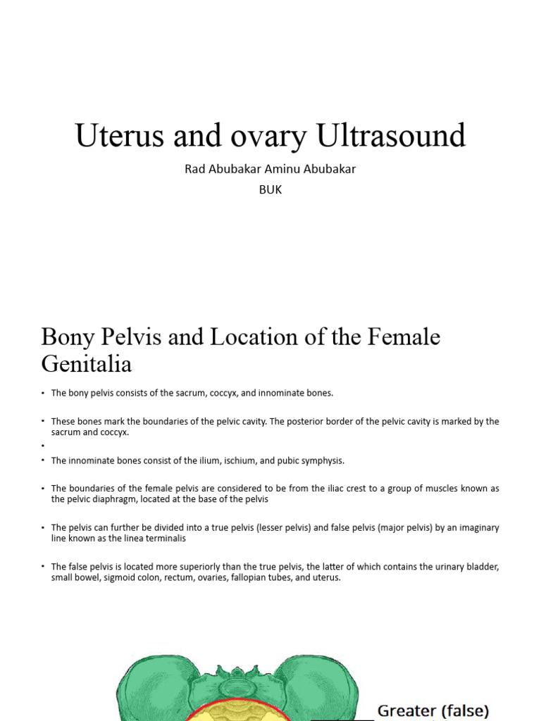 Uterus and Ovary Ultrasound Overview | PDF | Uterus | Ovary