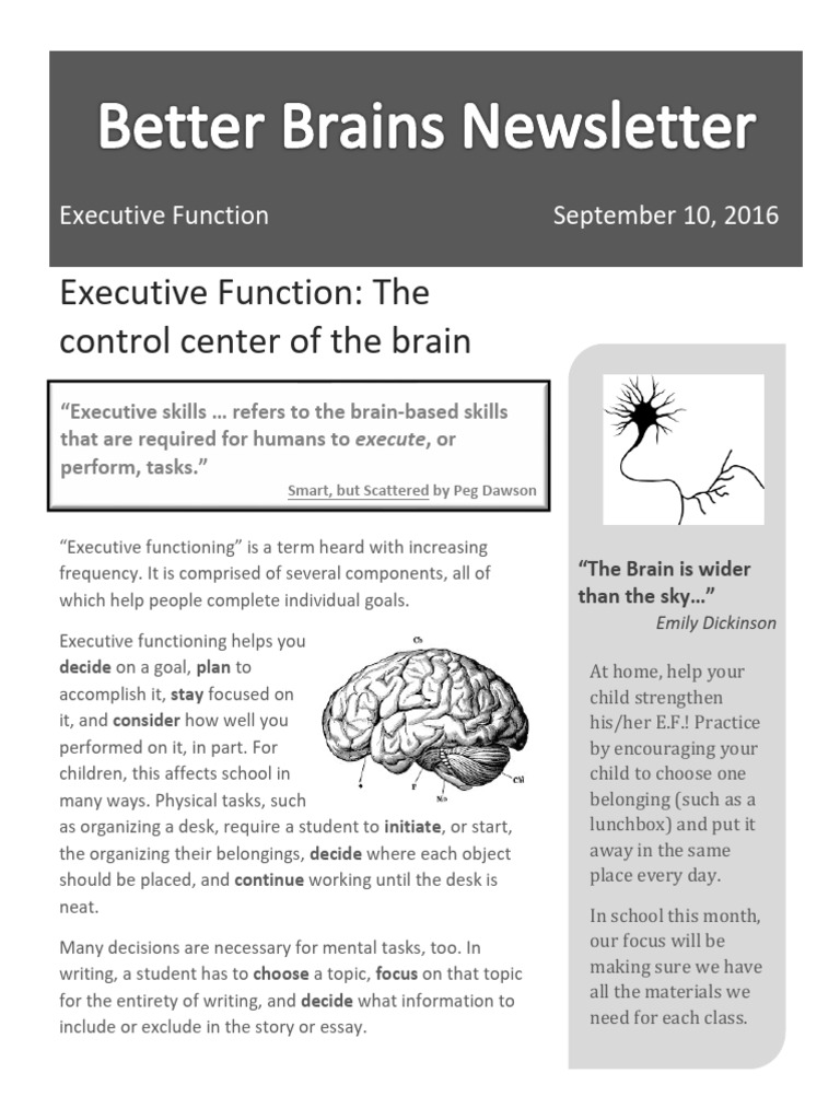Newsletter, Executive Functioning | PDF