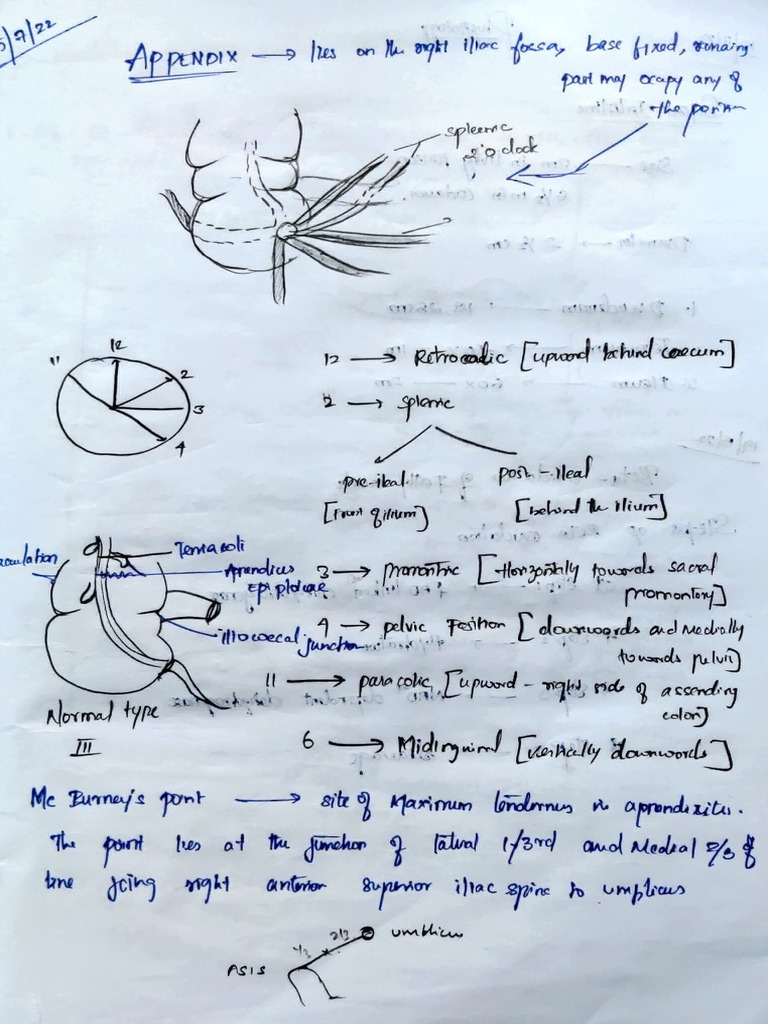 Anatomy Hand Written Notes | PDF