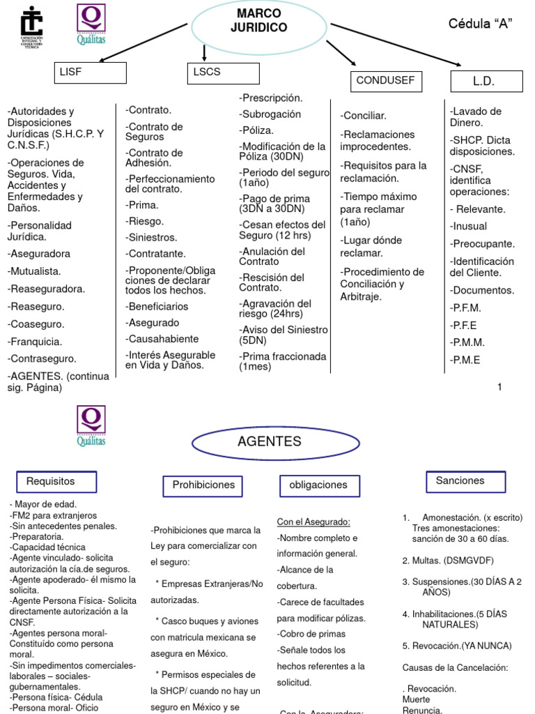 Mapas_conceptuales | PDF | Póliza de seguros | Seguro