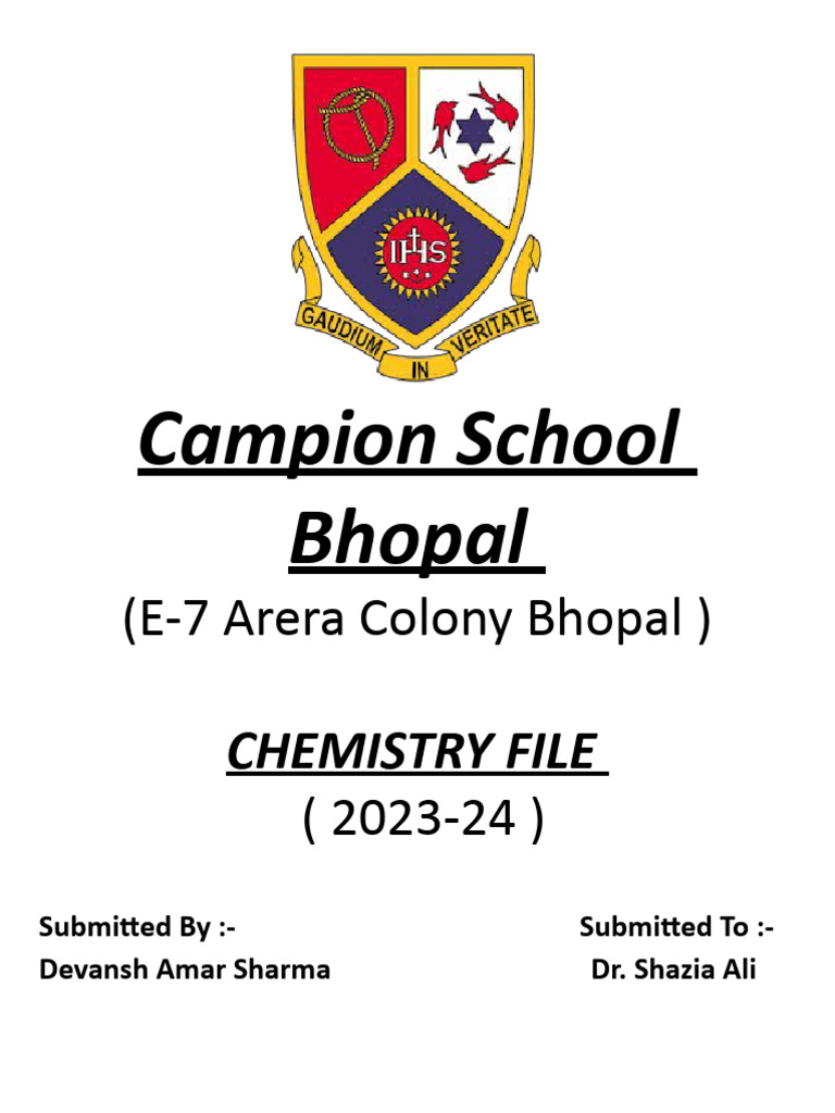 Campion School Final | PDF | Business