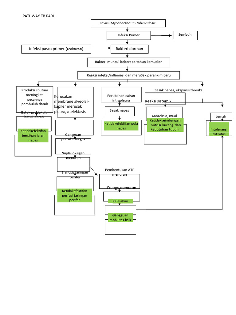 Pathway Patofisiologi TB Paru | PDF