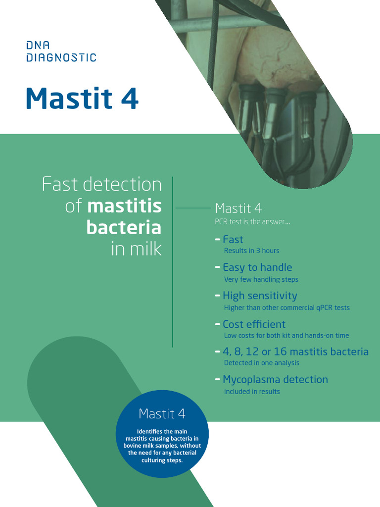 Rapid Mastitis Detection with Mastit 4 | PDF | Real Time Polymerase ...