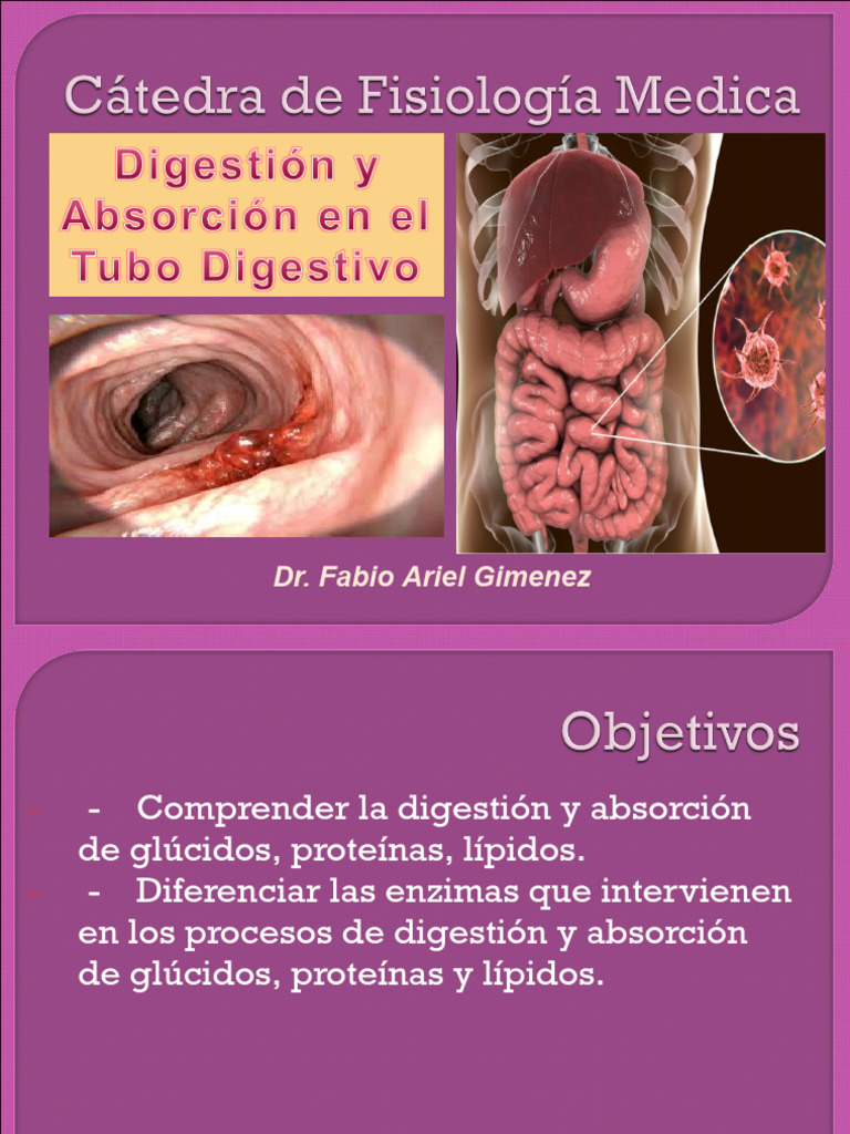 5 Digestion y Absorcion Fisio | PDF | Digestión | Química