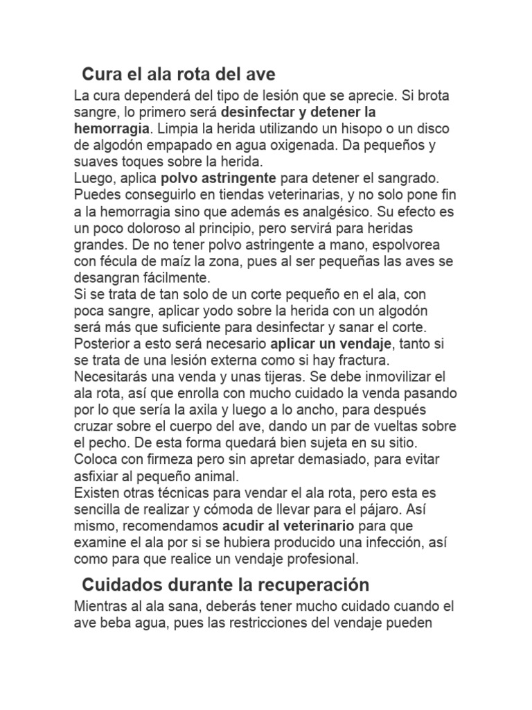 Como Se Cura El Ala Rota de Una Paloma | PDF | Aves | Herida