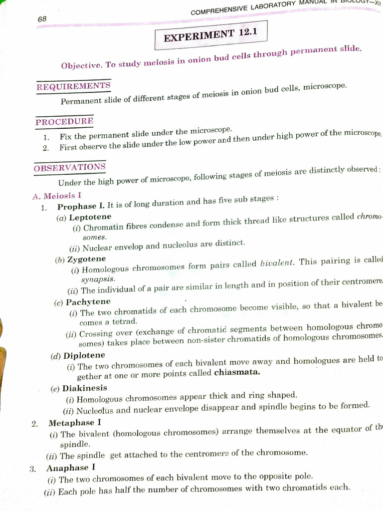 Meiosis | PDF | Meiosis | Systems Biology