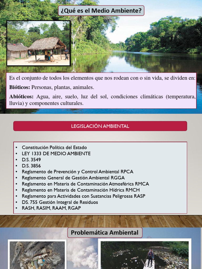 Introduccion Medio Ambiente | PDF | Entorno natural | Residuos