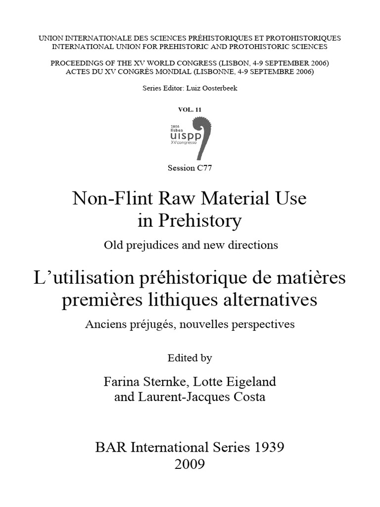 Functional Analysis of Macro Lithic Arte | PDF | Wear | Clastic Rock