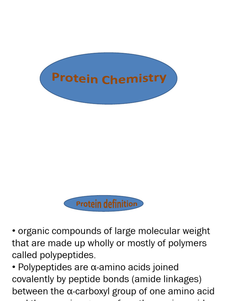 Protein Chemistry - Part 1 | PDF