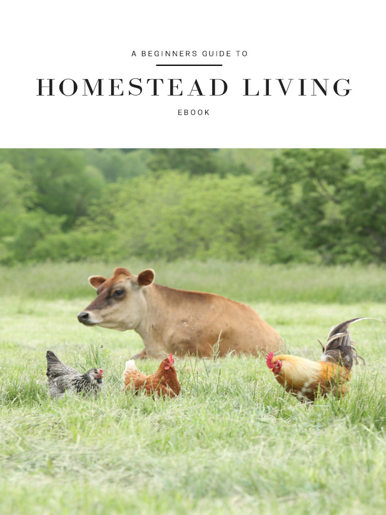 Beginner's Guide to Homestead Living | PDF