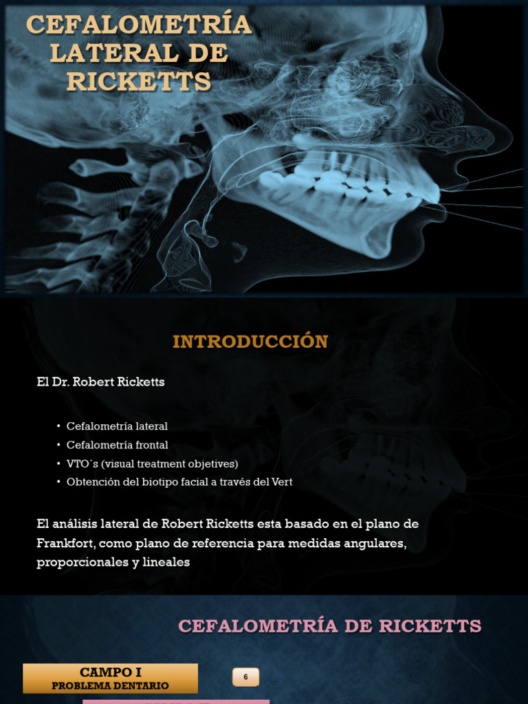 Cefalometria de Ricketts Resumido | PDF | Diente | Anatomía humana