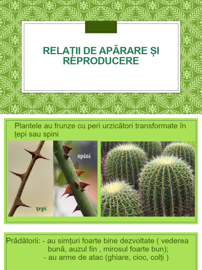 Relatii de Aparare Si Reproducere | PDF