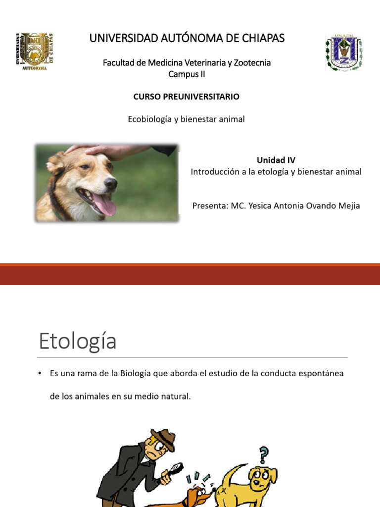 Unidad IV Introduccion A La Etologia y Bienestar Animal | PDF | Comportamiento | Etología