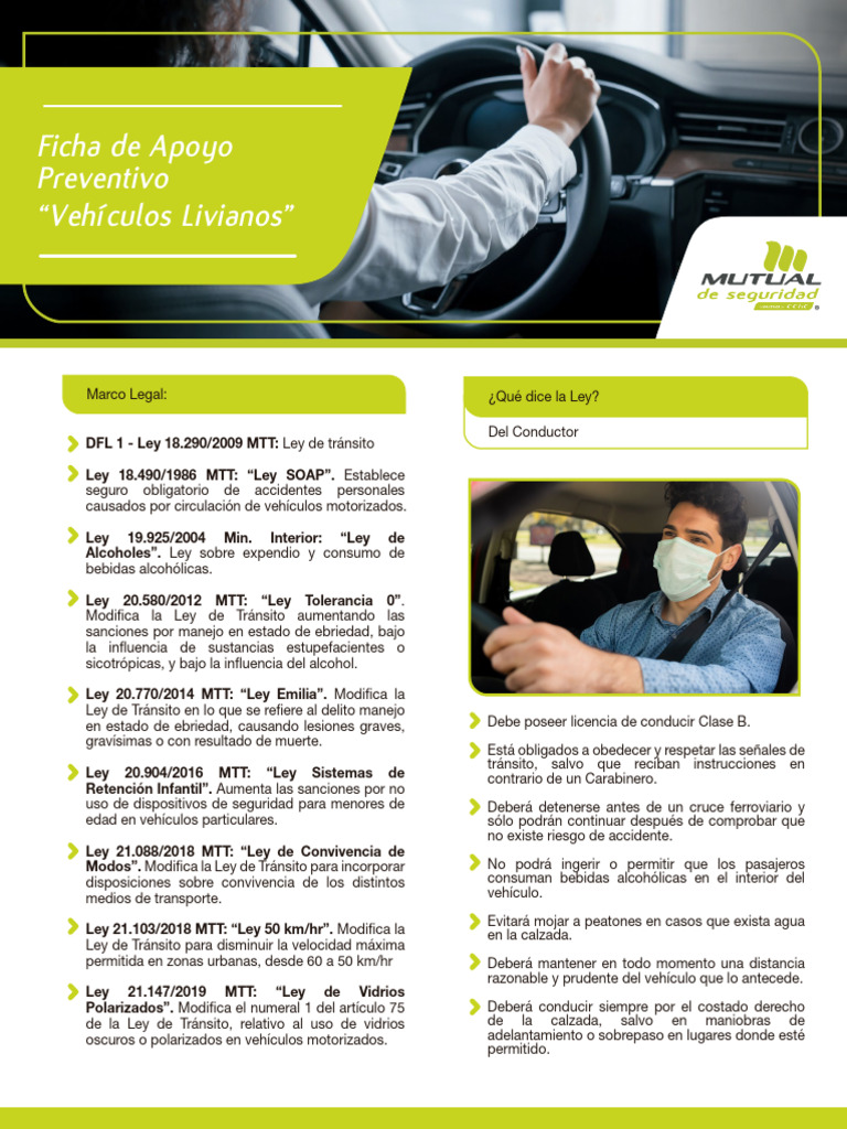Ficha de Apoyo Preventivo Vehiculos Livianos | PDF | Neumático ...