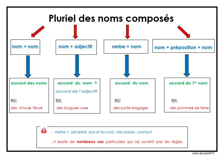 Carte Mentale Pluriel Des Noms Composés | PDF