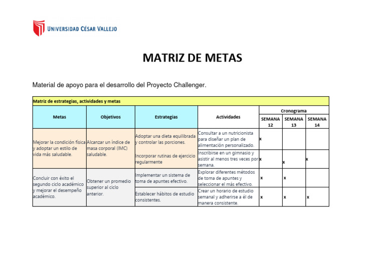 1° MATRIZ DE METAS Alexandra Lozano | PDF | Nutrición | Dieta y nutrición