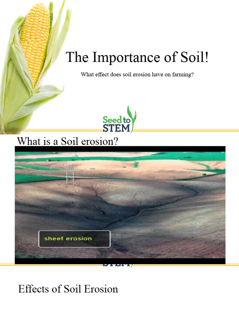 Soil Erosion Powerpoint Web | PDF | Soil | Erosion