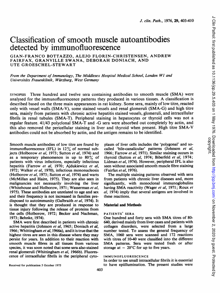 Classification of Smooth Muscle Autoantibodies | PDF | Kidney | Infection