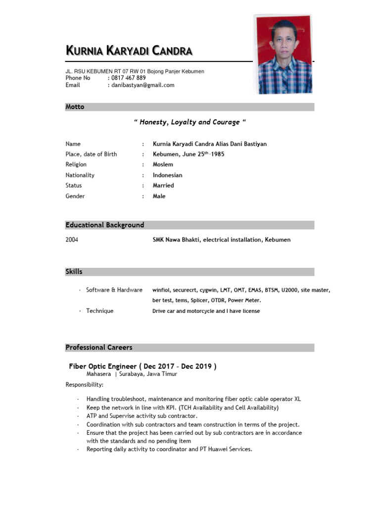 CV Dani | Download Free PDF | Computing | Computer Engineering