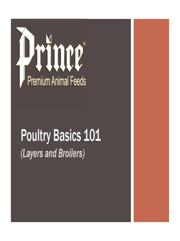 Prince Poultry PPT Presentation | PDF | Chicken | Poultry Farming