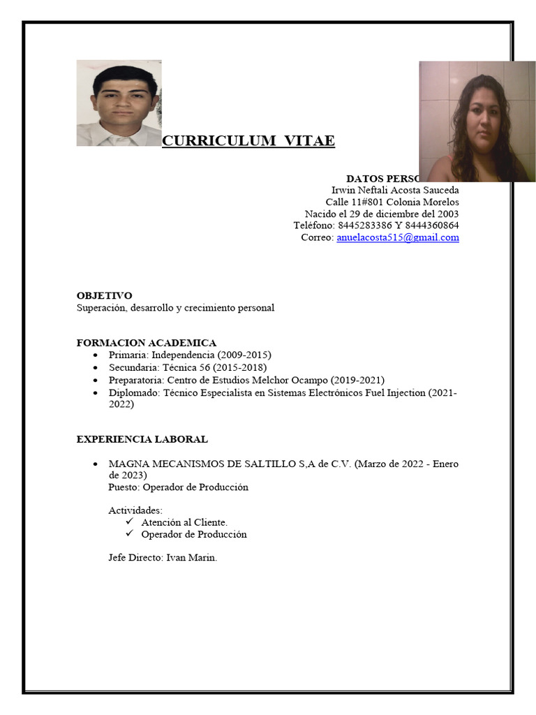 CV Irwin Sauceda | PDF