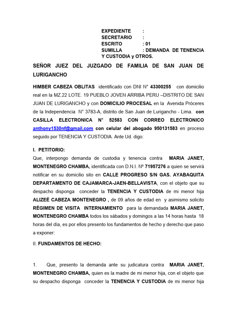 Demanda de Tenencia y Custodia-Imber | PDF | Demanda judicial ...