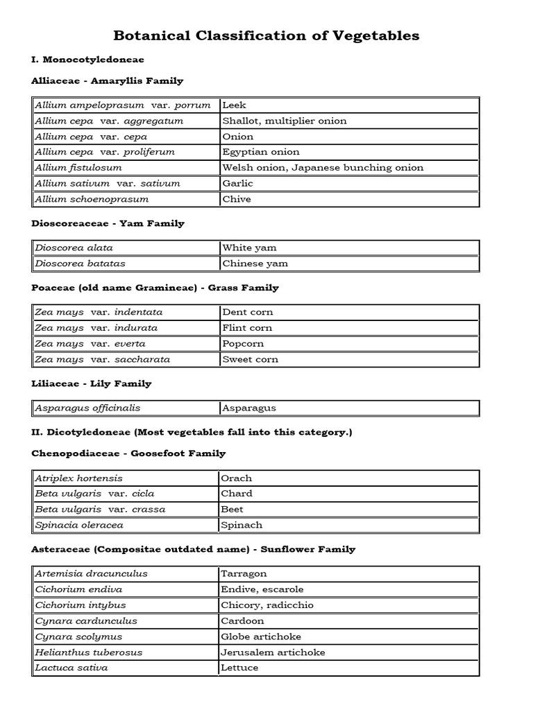 Botanical Classification of Vegetables | PDF | Cucurbita | Bean