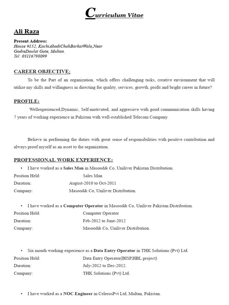 Ali-Cv1 New | PDF | Computing