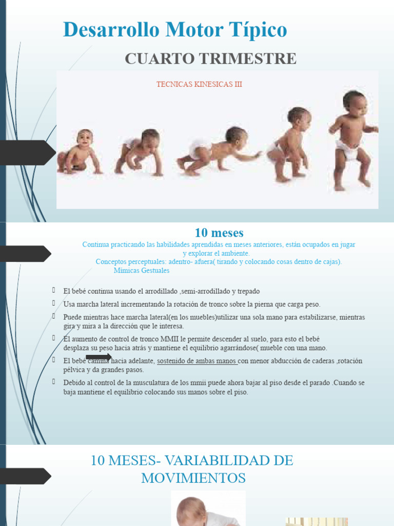 Desarrollo Motor Típico 4 Trimestre | PDF | Pelvis