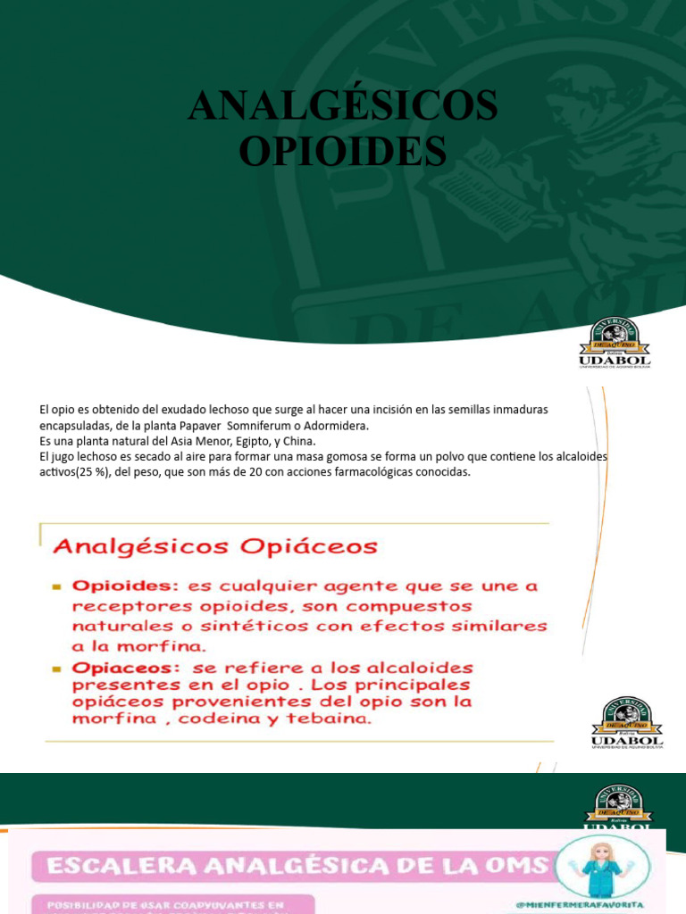 ANALGESICOS OPIOIDES | PDF | Opioide | Analgésico