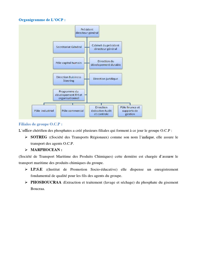 Organigramme Et Filiales de OCP | PDF