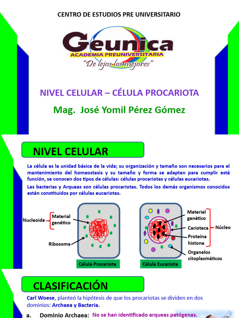 7 Bacteria | PDF | Las bacterias | Biología Celular)
