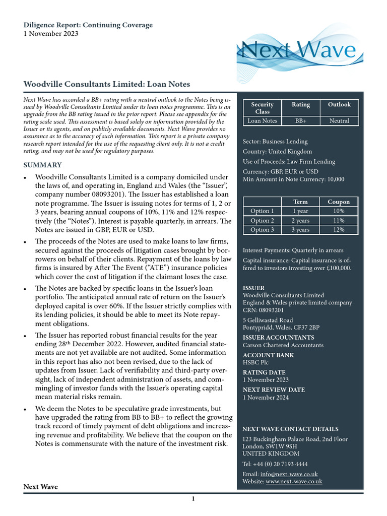 Next Wave - Woodville Report | PDF | Insurance | Loans