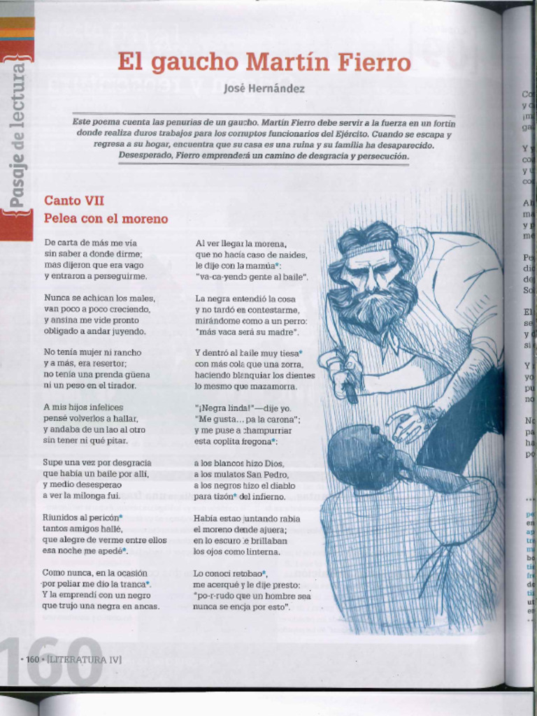 Selección Martín Fierro | PDF