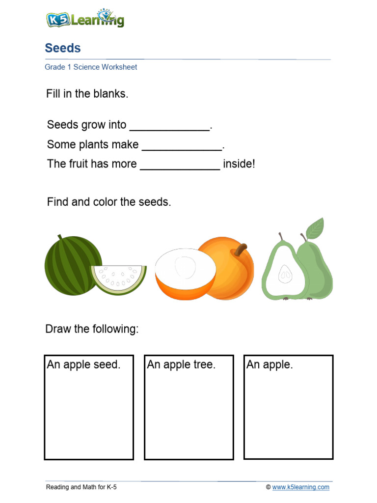 Grade 1 Seeds B | PDF | Language Arts & Discipline