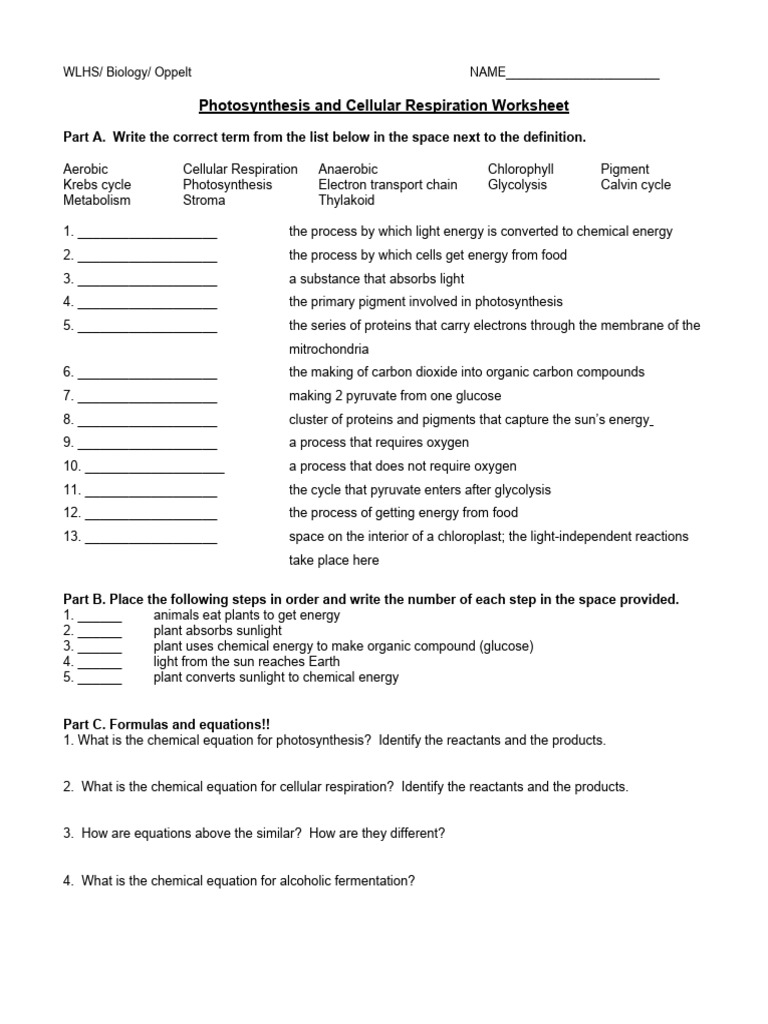 HANDOUT - Photosynthesis and Cellular Respiration Review Sheet 2017 ...