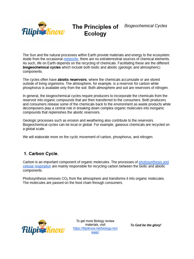 Biogeochemical Cycles Reviewer | PDF | Ecosystem | Soil