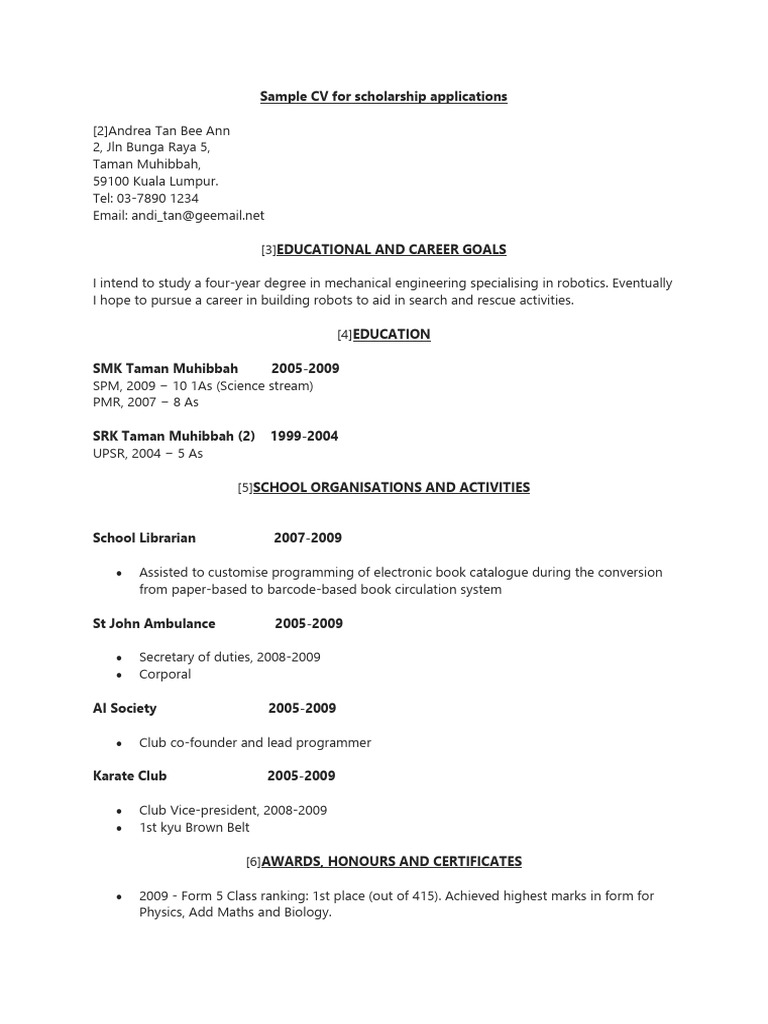 Sample CV For Scholarship Applications | PDF
