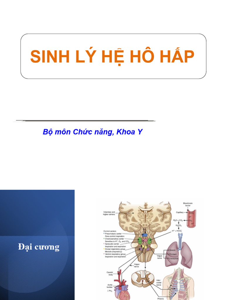 DCHP TH | PDF