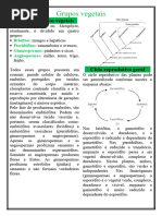 Espermatófitas | PDF | Plantas | Botânica