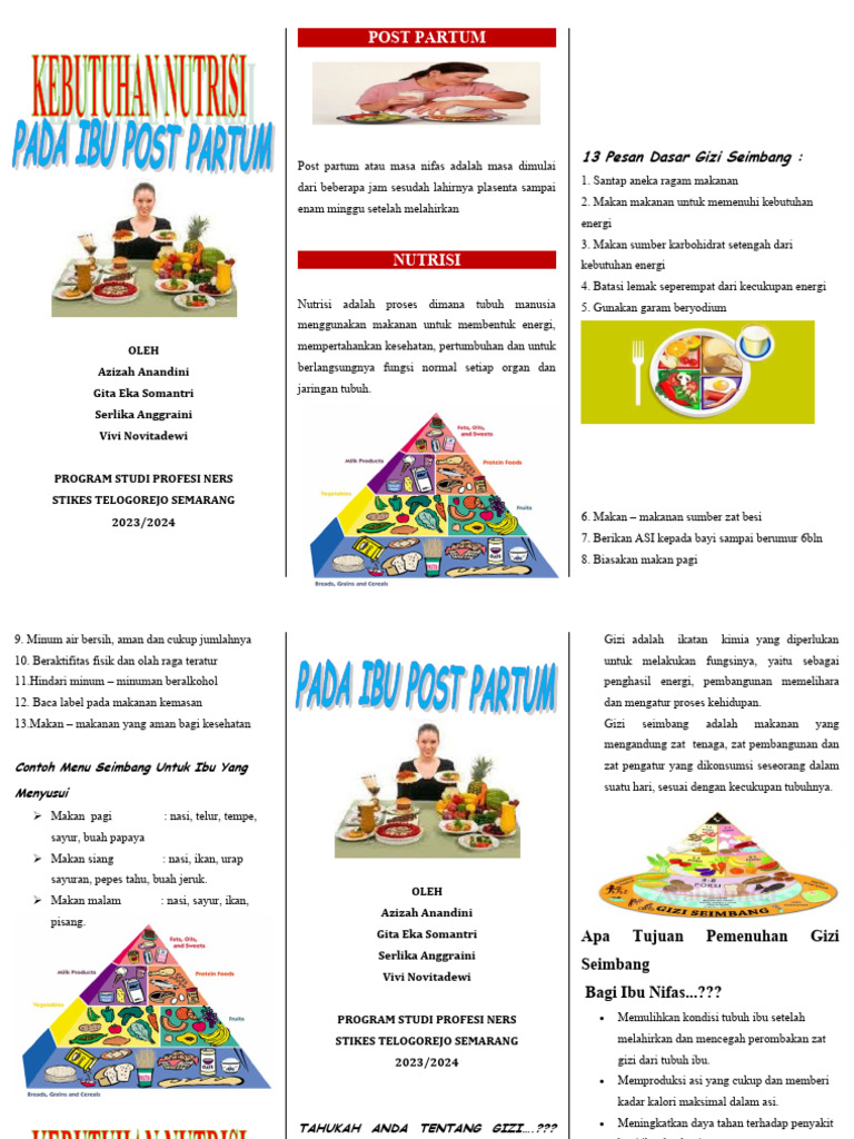 Leaflet Gizi Ibu Post Partum | PDF