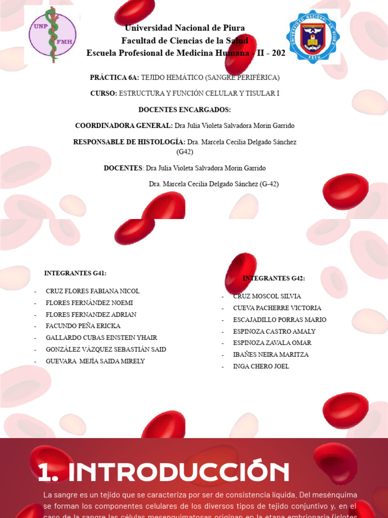 Tejido Hemático | PDF