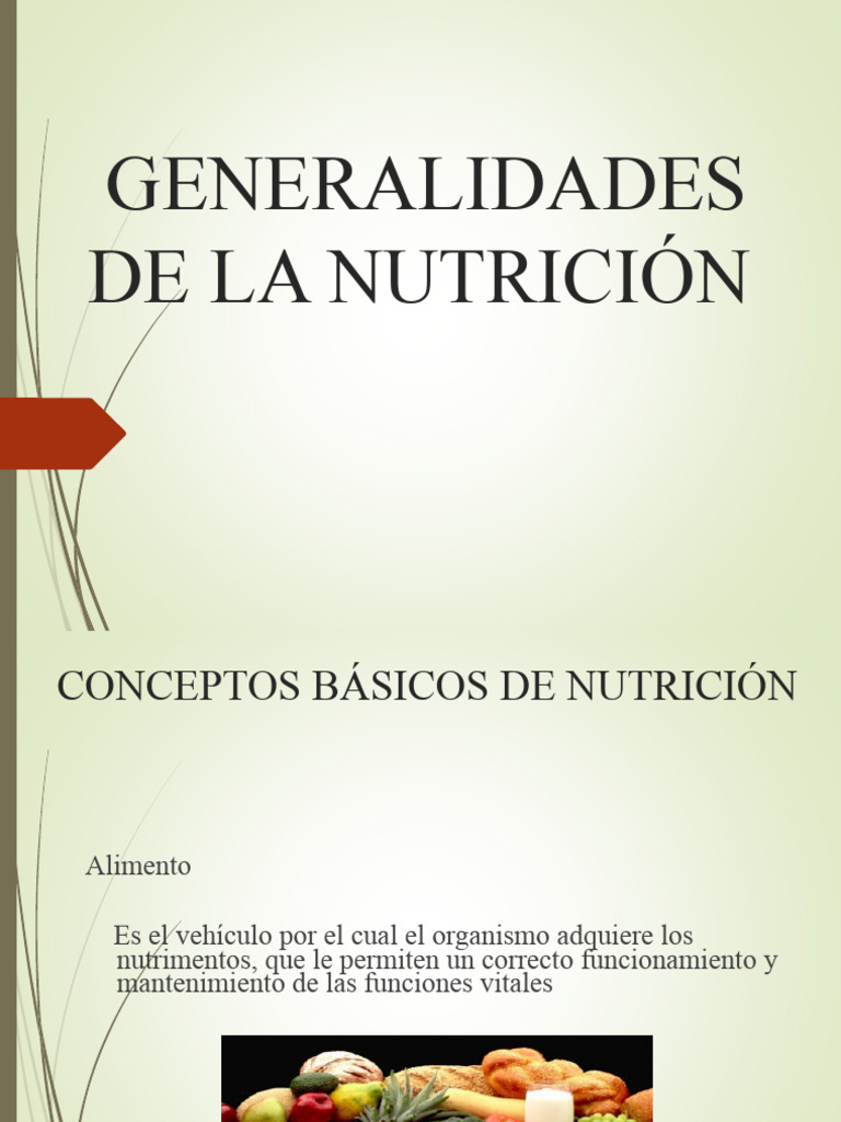 Conceptos - Basicos Nutricion | Descargar gratis PDF | Nutrición | Dieta y nutrición