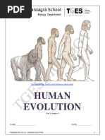 Human Evolution Chart | PDF | Homo | Human Evolution