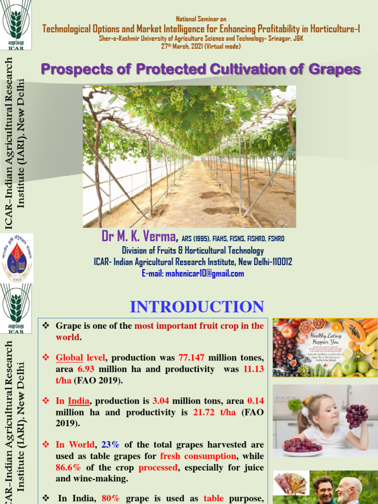 Protected Cultivation of Grapes 1623232731 | PDF | Agriculture | Grape