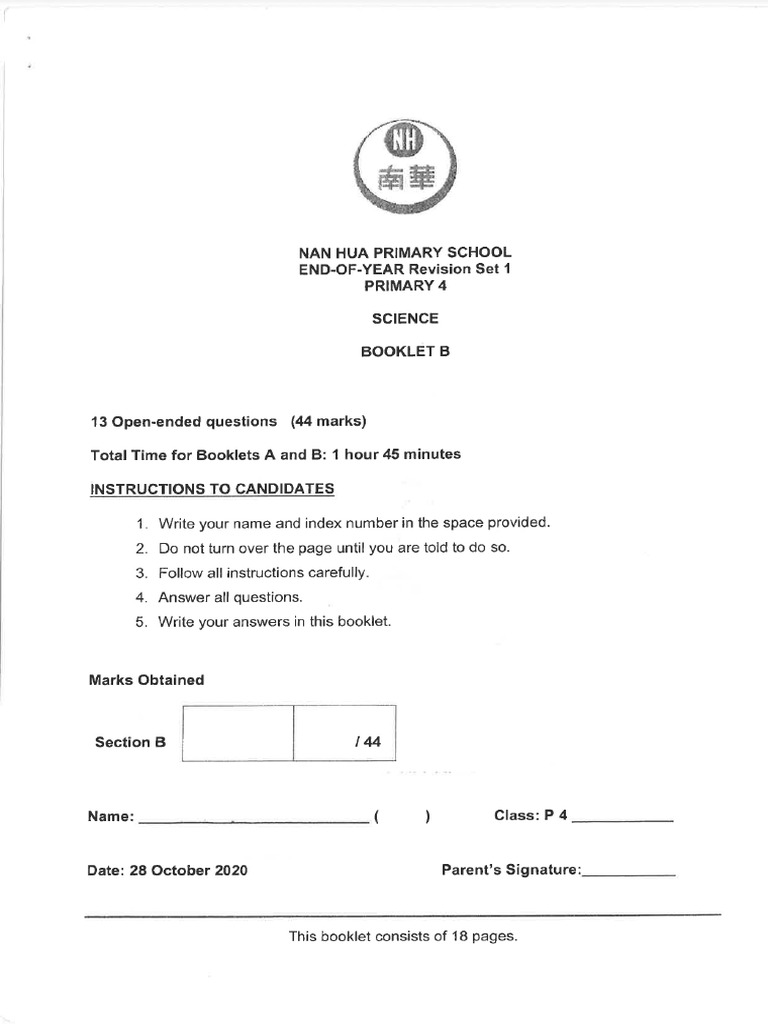P4 Set 1 - Bklet B | PDF